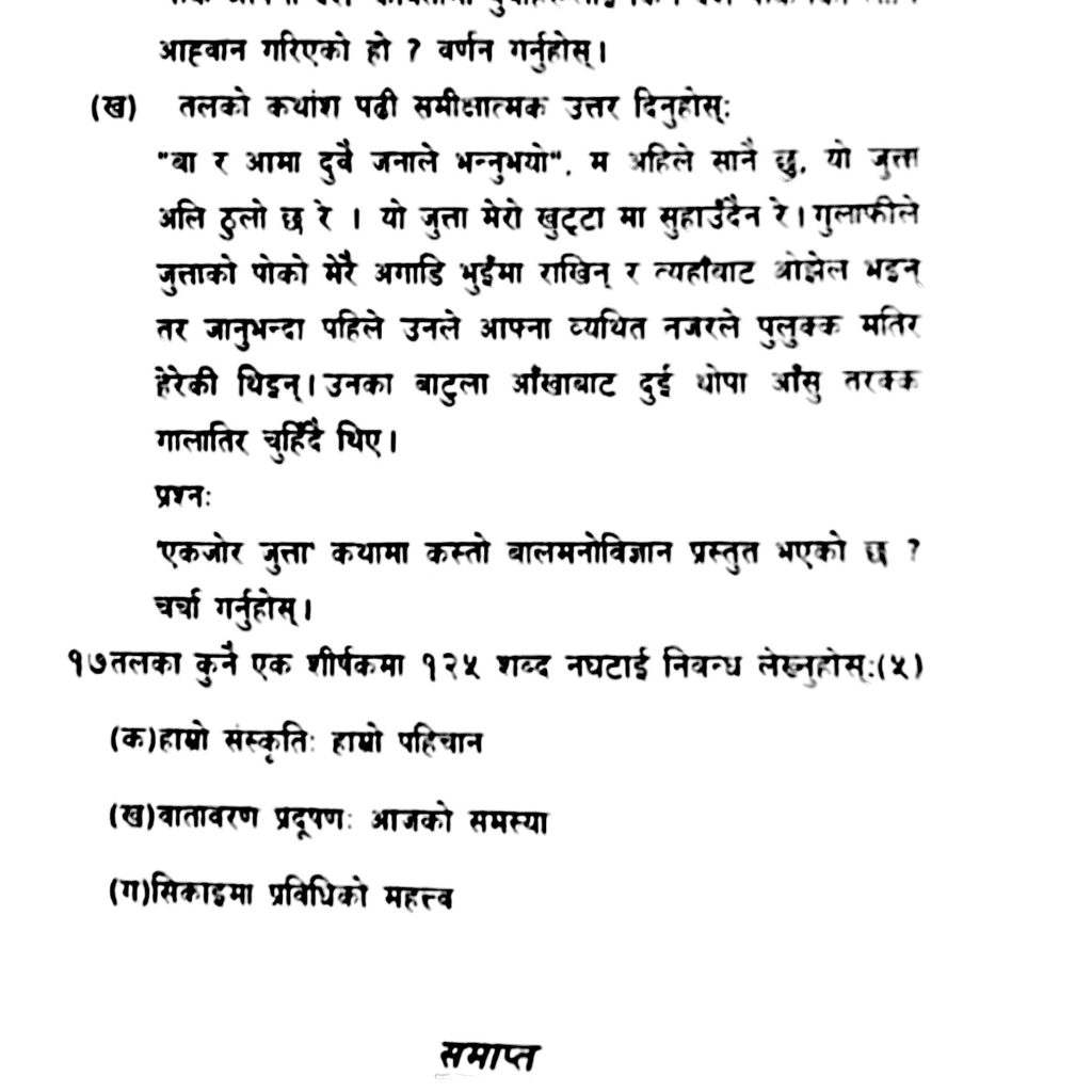 BLE (Class-8) Nepali Past Papers 2082 | Pokhara Metropolitan - Bidhya ...